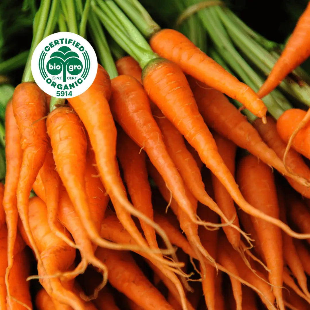 Go Native NZ - Certified Organic Carrot Root Oil – Go Native New ...