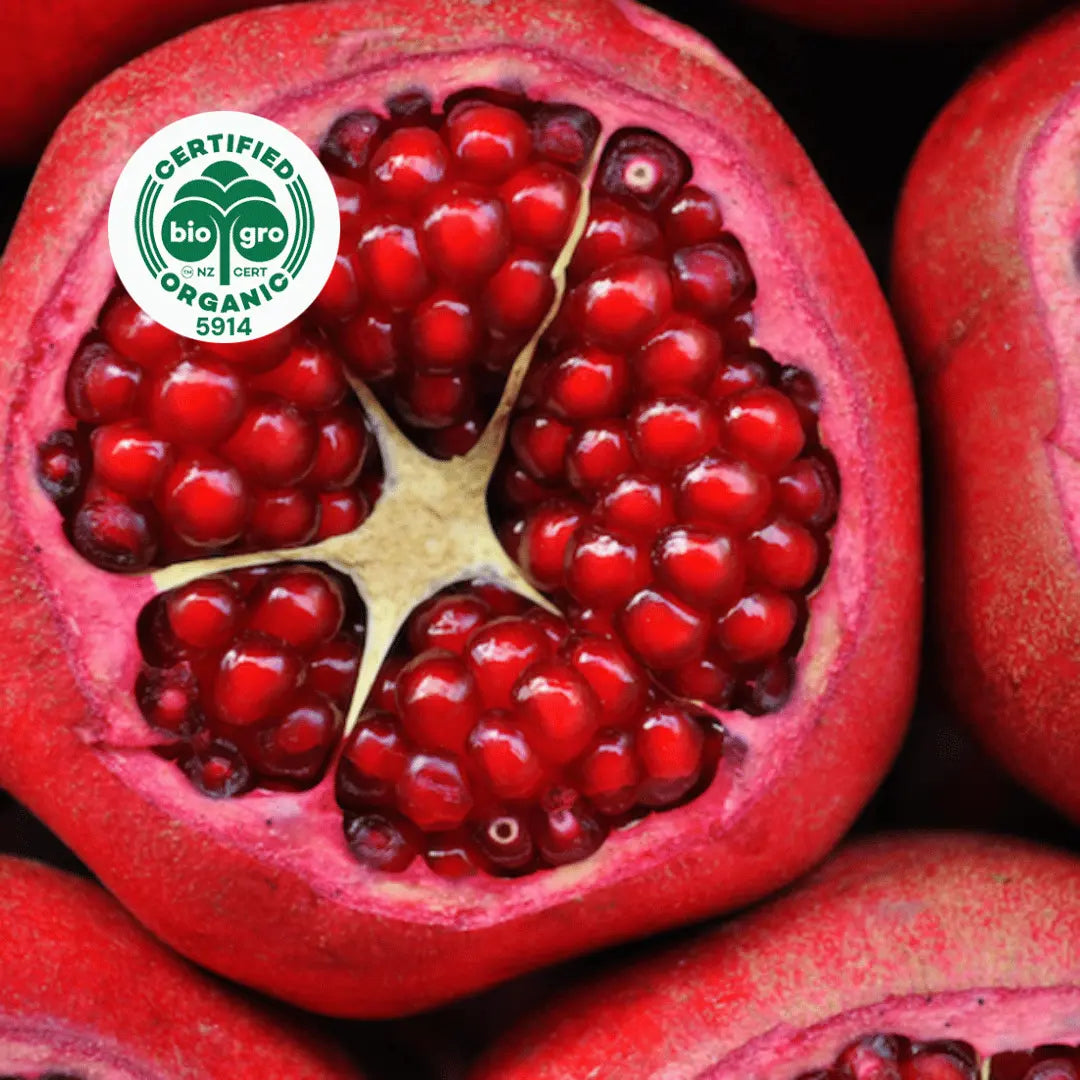 Organic Pomegranate seed oil - Go Native New Zealand. – Go Native New ...