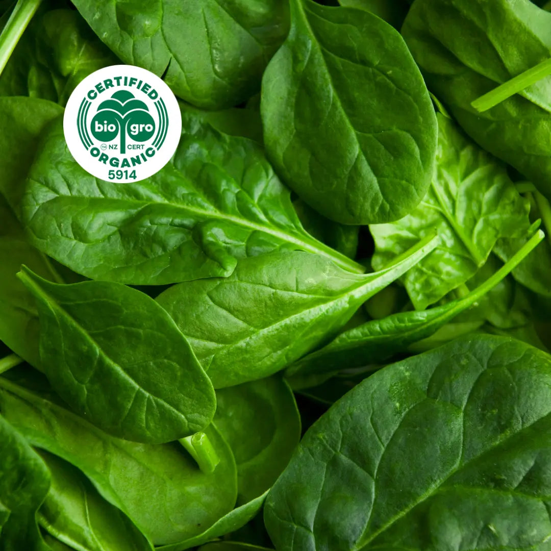Certified Organic Spinach Seed Oil | Go Native NZ – Go Native New ...