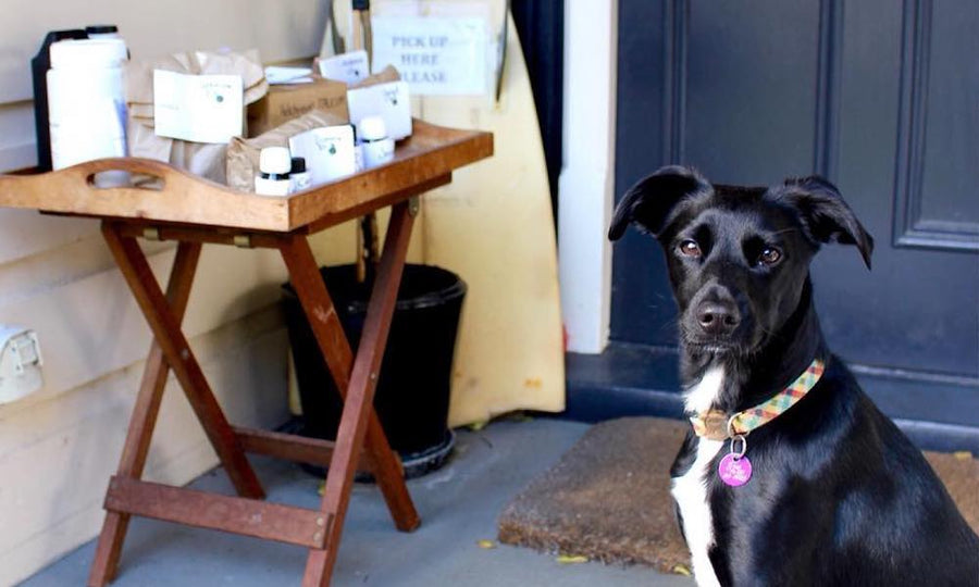 Collections – Go Native New Zealand Ltd